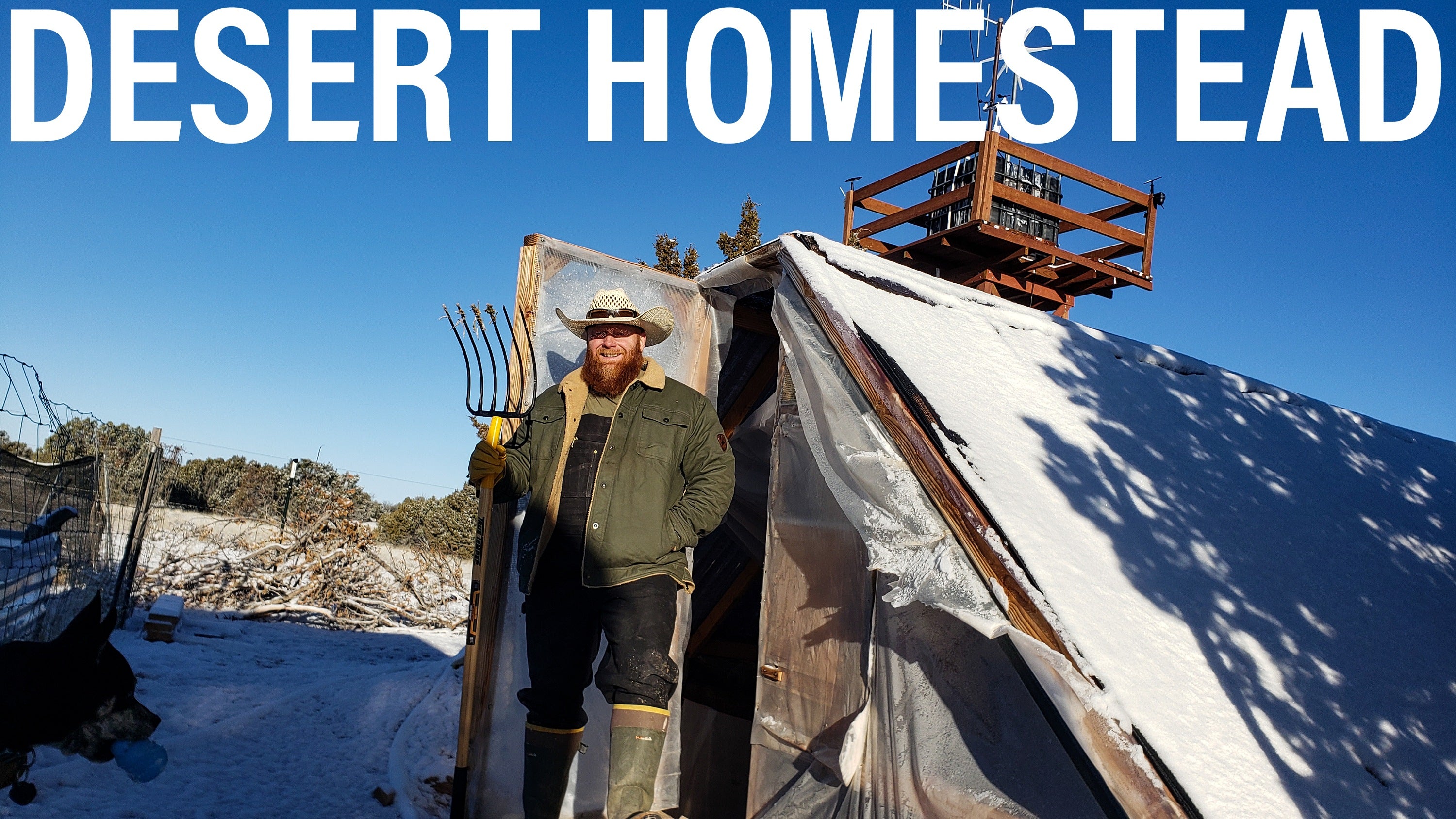 My Arizona High Desert Homestead Morning Routine – Frugal Off Grid